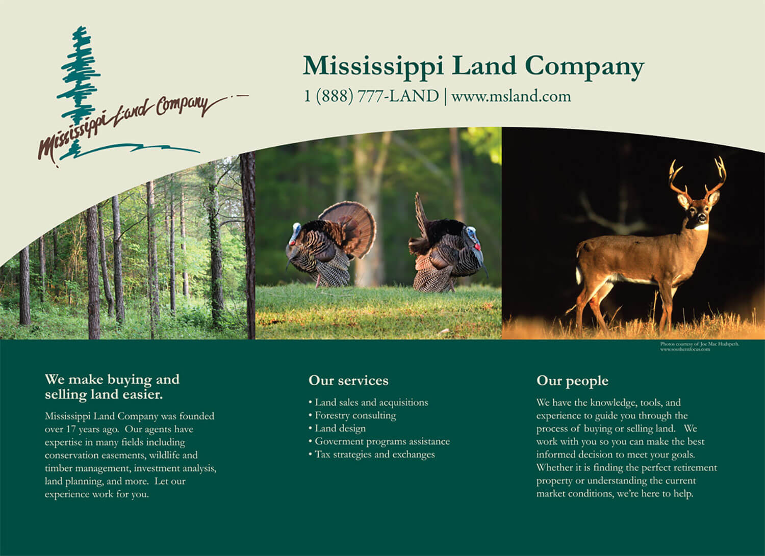Display Design for Mississippi Land Company - Kathy Jacobs Design ...