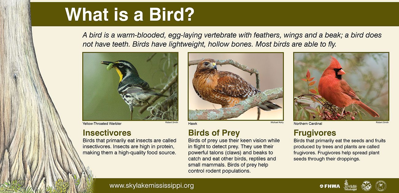 Sky Lake WMA Interpretive Signage - Kathy Jacobs Design & Marketing