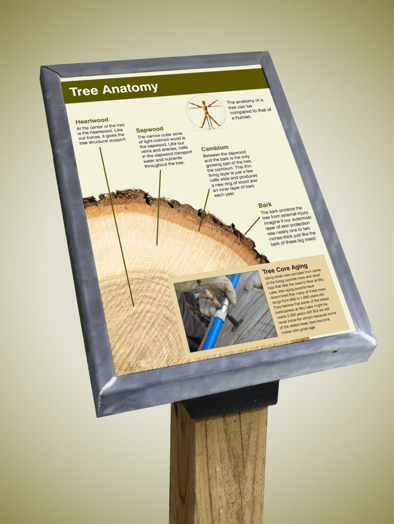 Outdoor Interpretive Sign Design Tree Anatomy - Kathy Jacobs Design ...